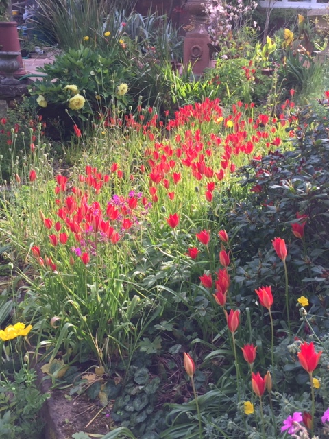 Mapperley Park – Residents Association